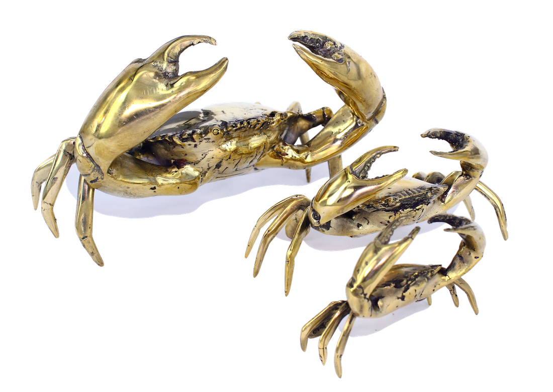Mr Pinchy and Co are back with more fabulous gold accessories - The ...