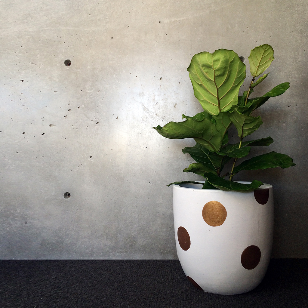 Design Twins' new pots are perfect for indoor plant trend - The ...