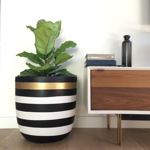 Design Twins' new pots are perfect for indoor plant trend - The ...