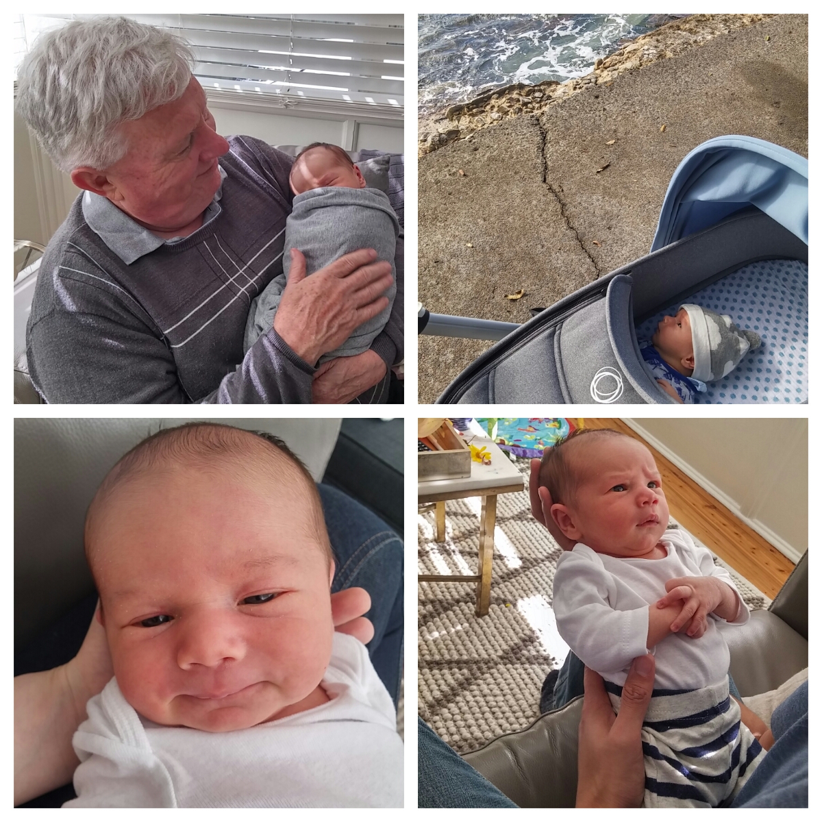 Introducing baby Interiors Addict, Sebastian - The Interiors Addict