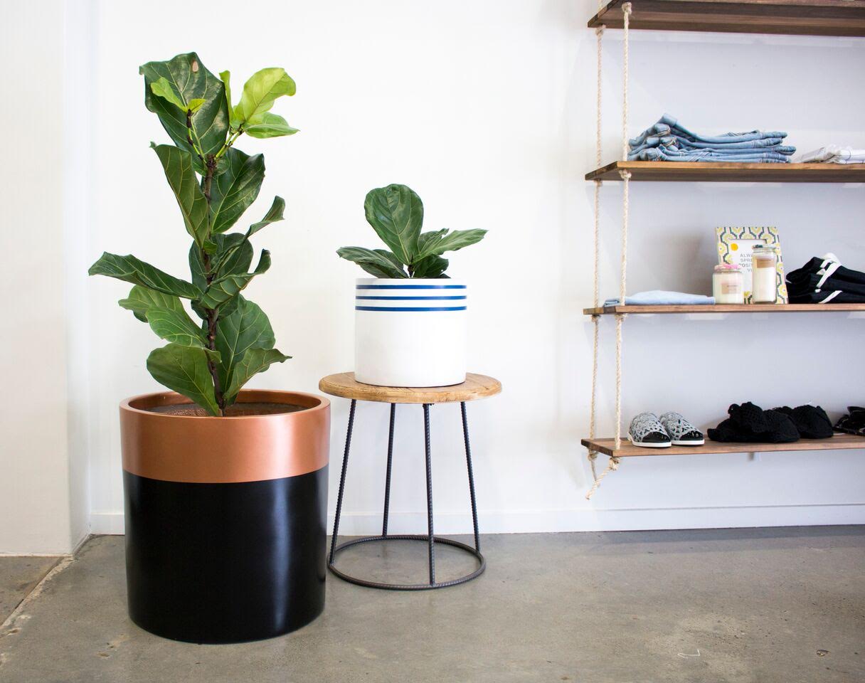 Modern Muse - Lightweight, Australian-made designer pots - The ...