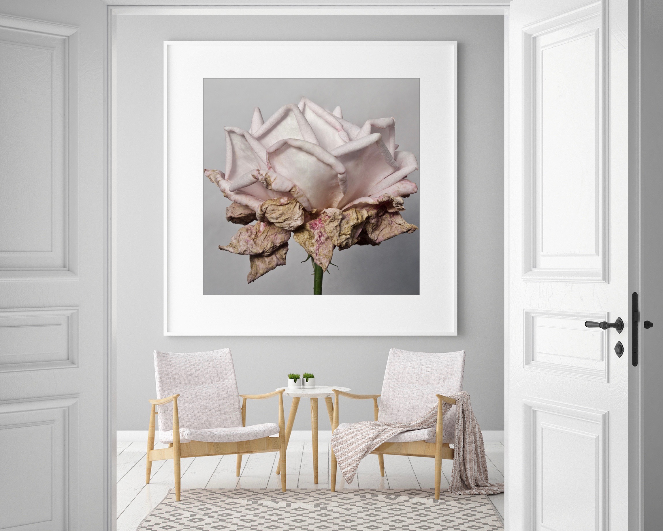 A floral odyssey: Botanical photography by Flowers For Kate - The ...
