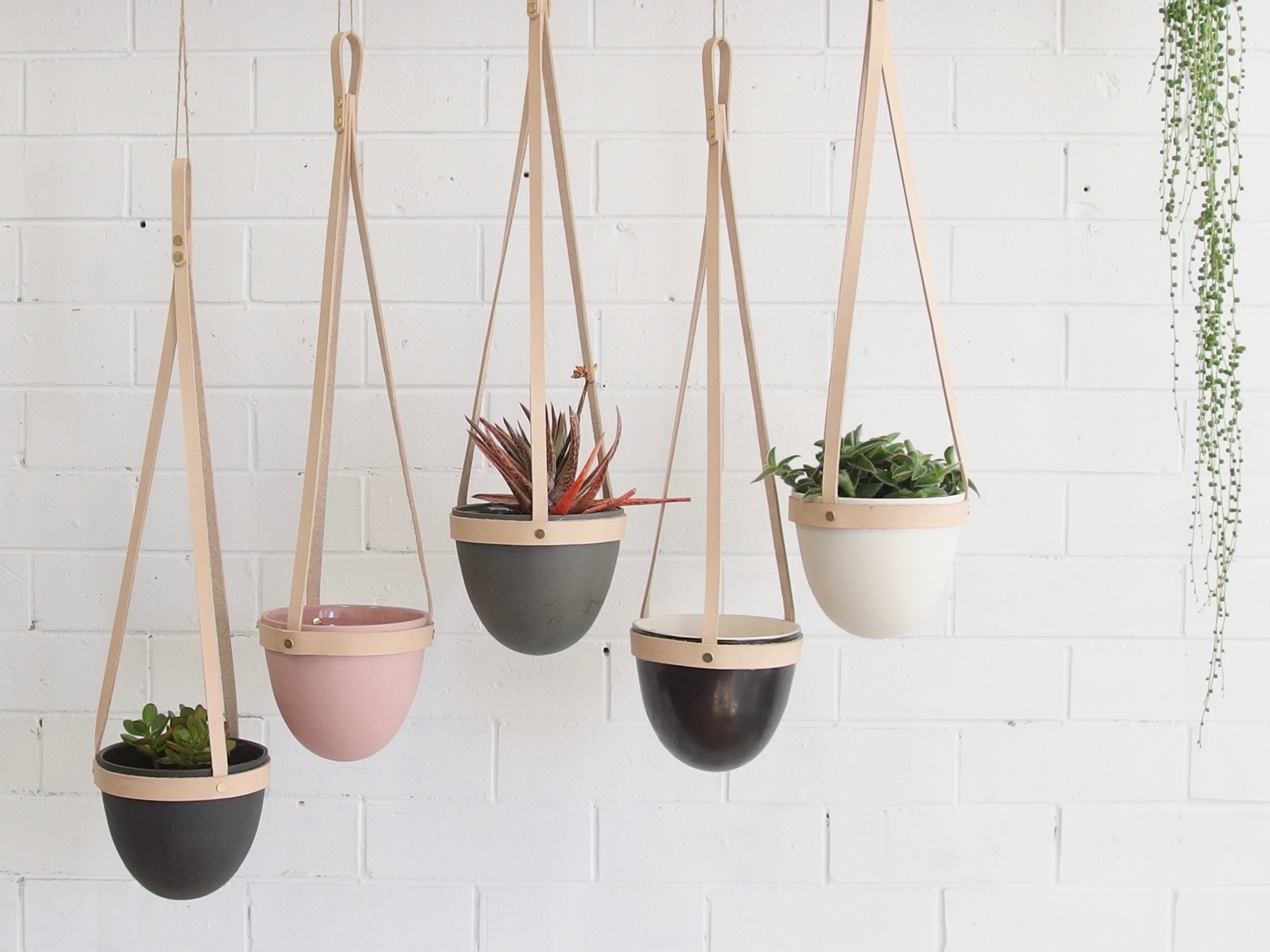 The latest ways to display your greenery at home - The Interiors Addict