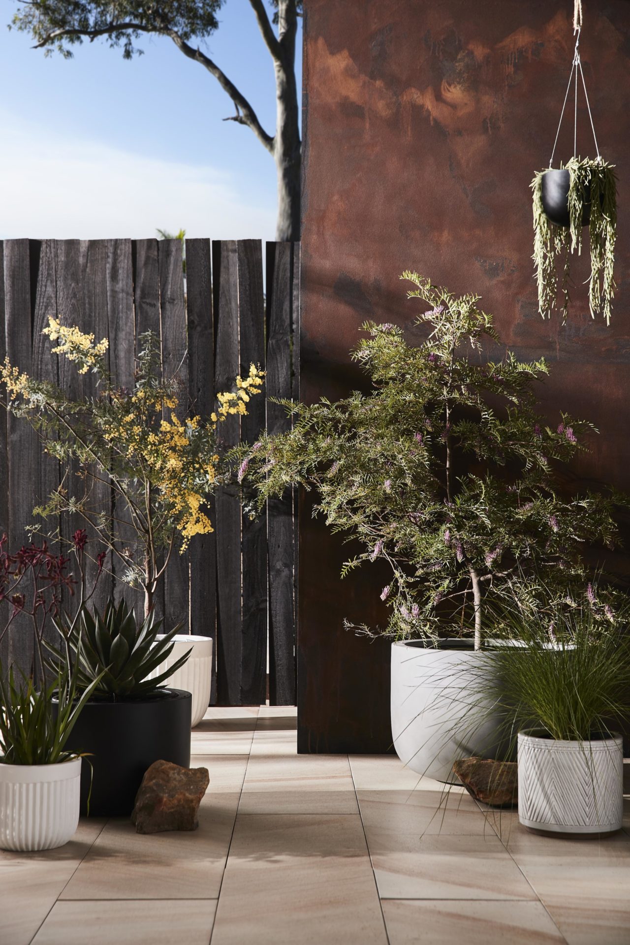 Outdoor oasis: take yours to the next level with Freedom - The ...