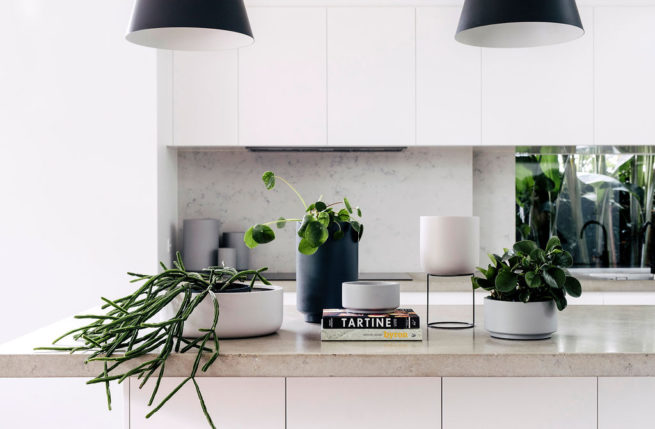 Statement pots: How to create the perfect cluster - The Interiors Addict