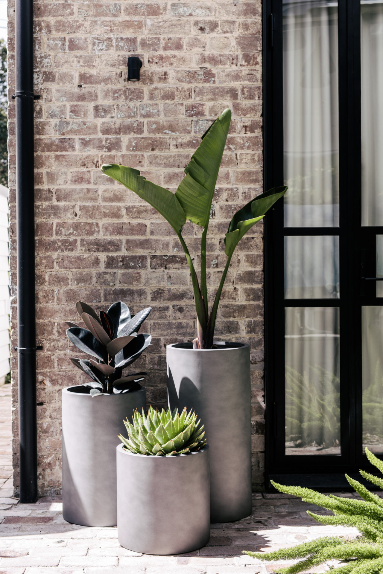 Statement pots: How to create the perfect cluster - The Interiors Addict