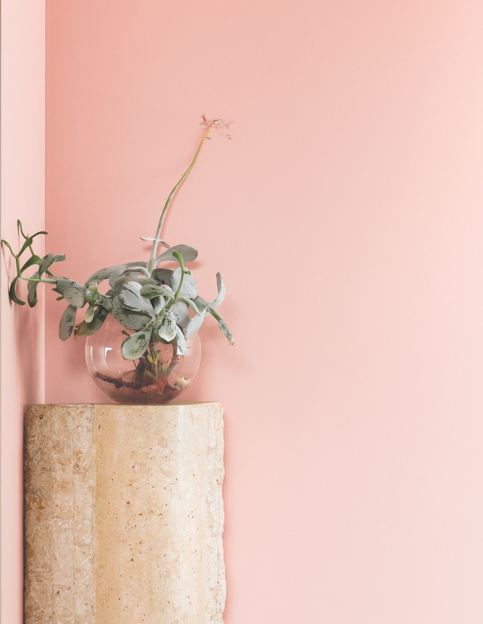Paint trends 2021: Haymes Paint announces tranquil new palettes - The ...