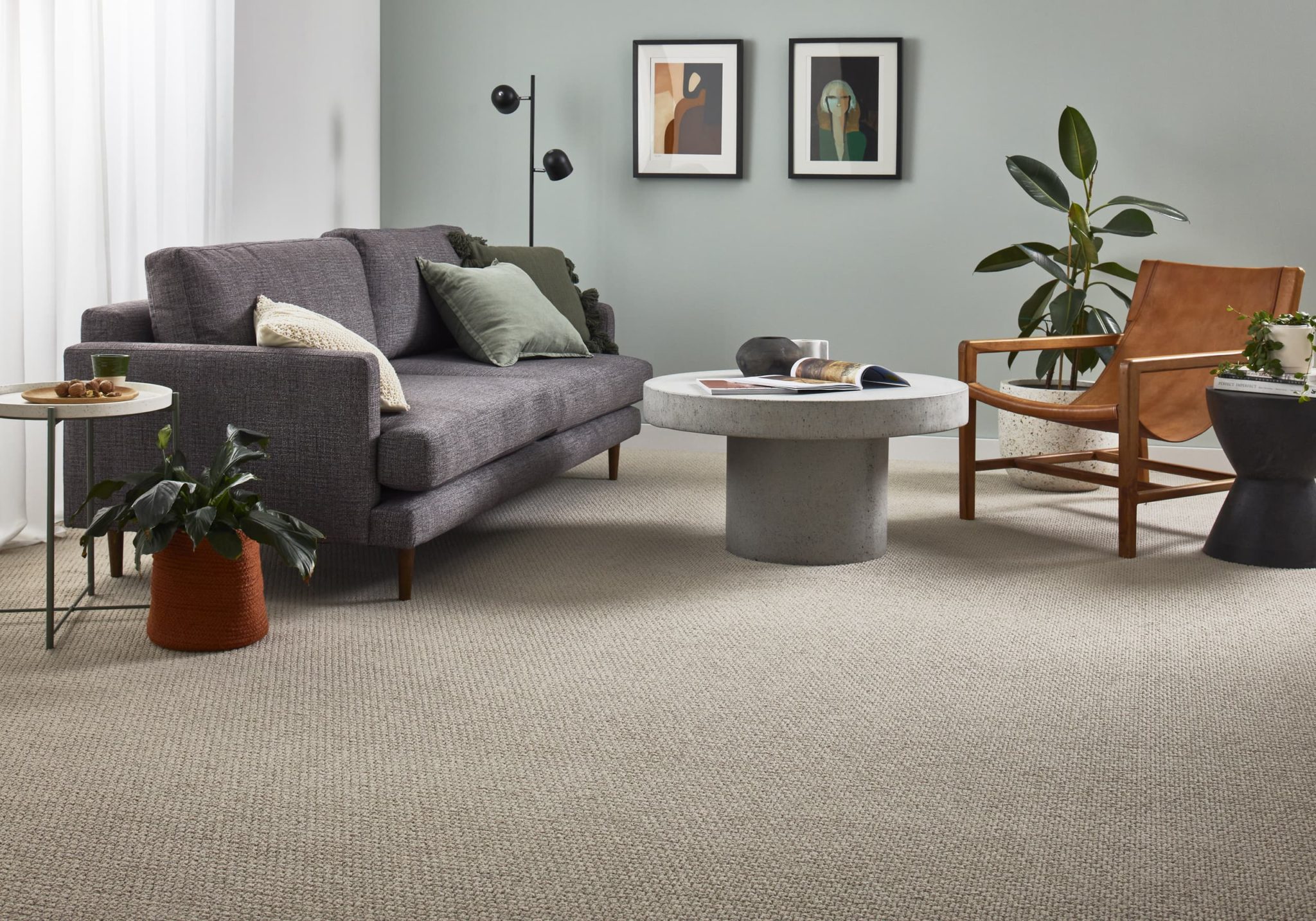 Your carpet questions answered and why it's still a popular choice ...