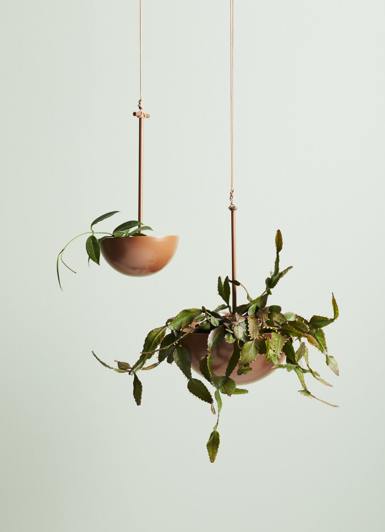 Latest Ivy Muse 'Celestial' collection inspired by the stars - The ...