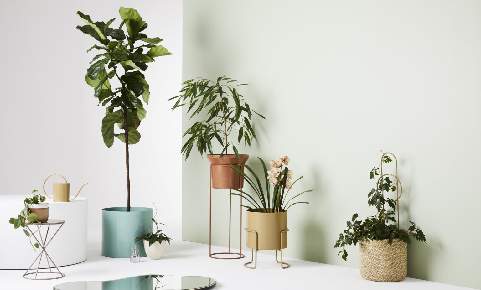 Latest Ivy Muse 'Celestial' collection inspired by the stars - The ...