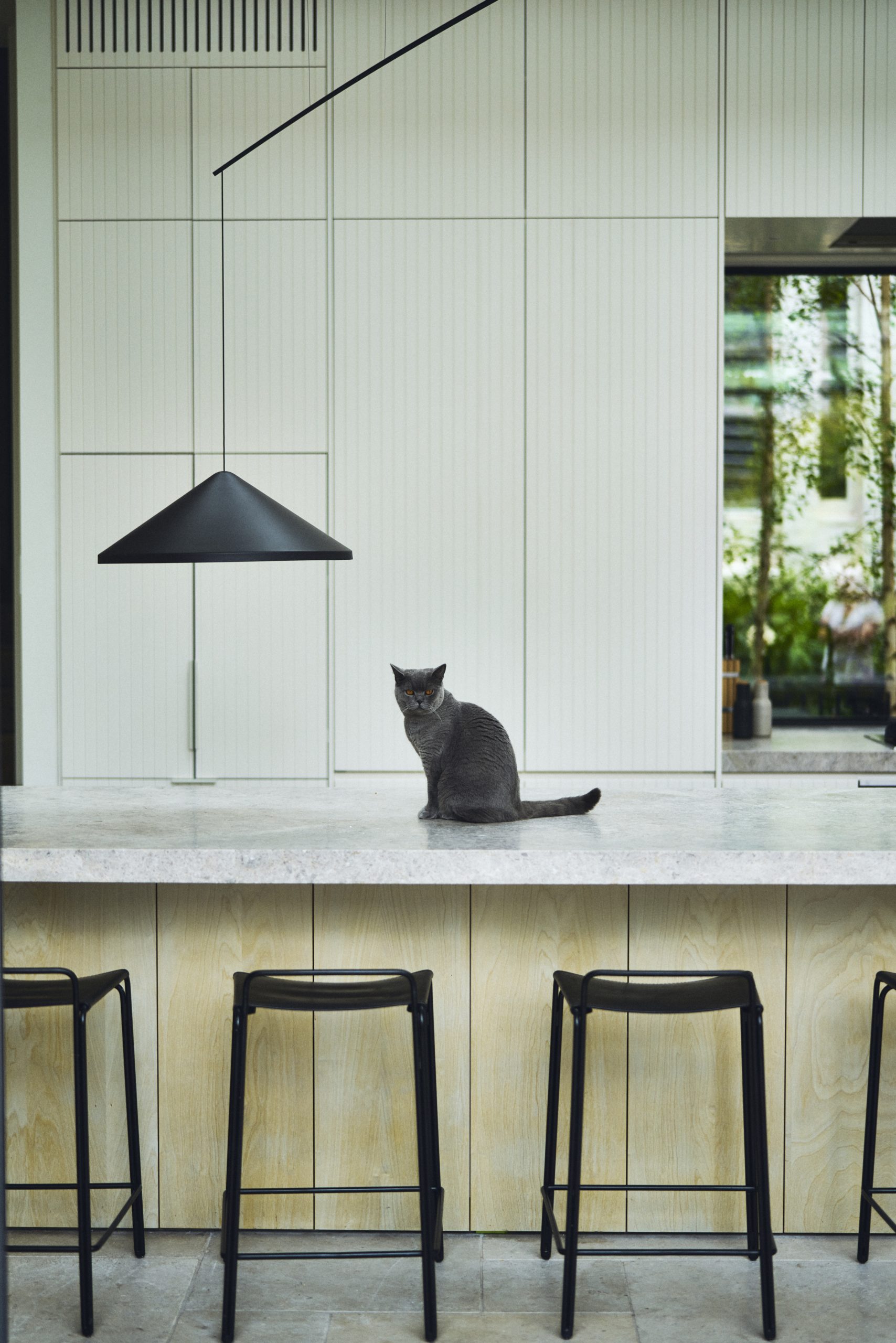 New book features cats and their homes: Where They Purr - The Interiors ...
