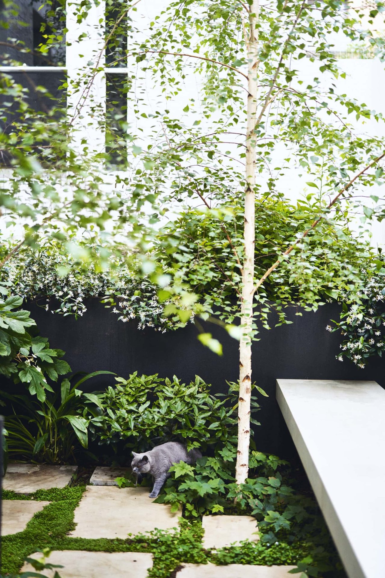 New book features cats and their homes: Where They Purr - The Interiors ...