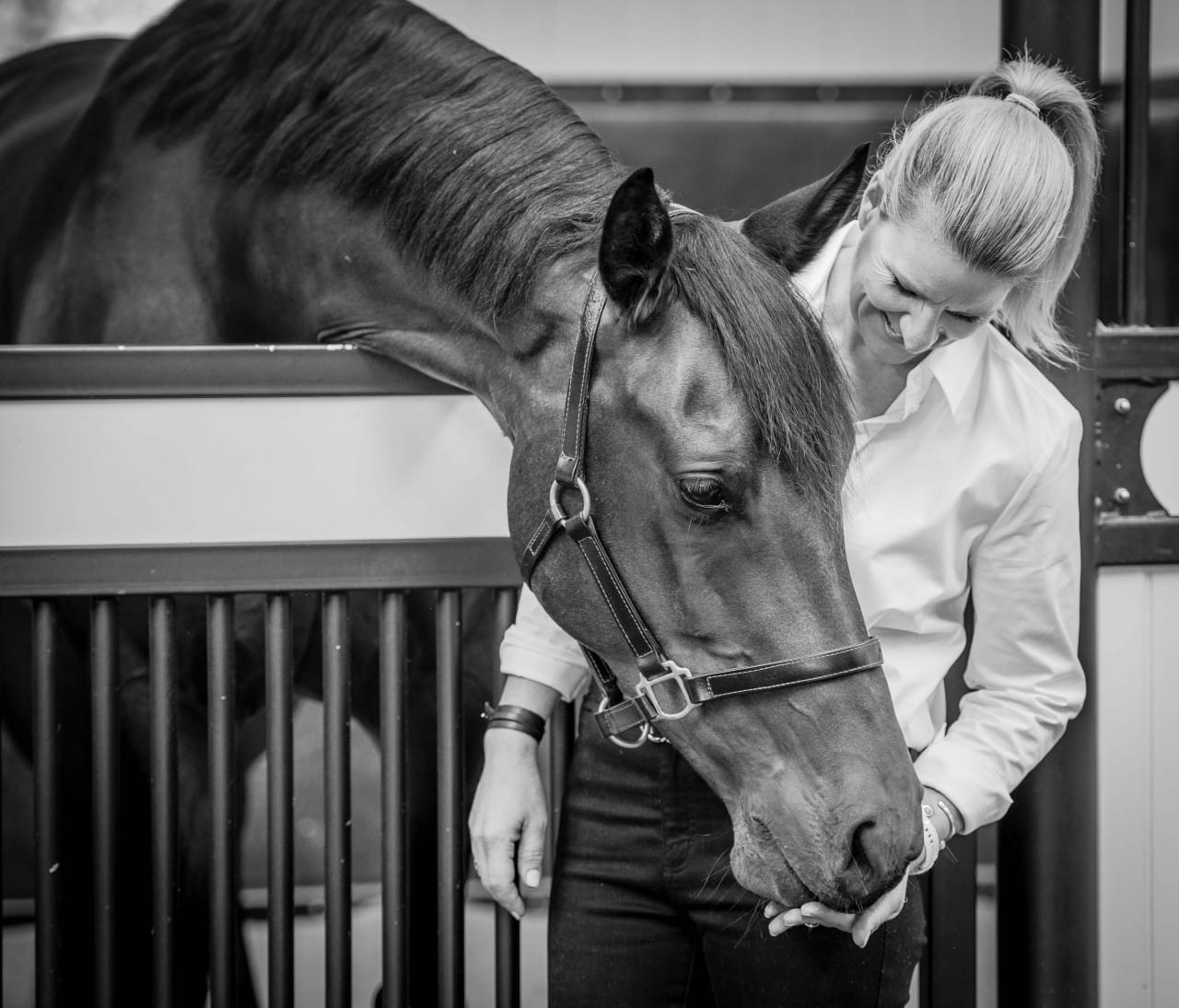 Ex competitive rider launches equestrian inspired luxury homewares ...