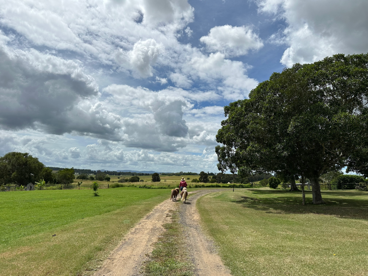 Family swaps suburbia for remote farm life with no regrets - The ...