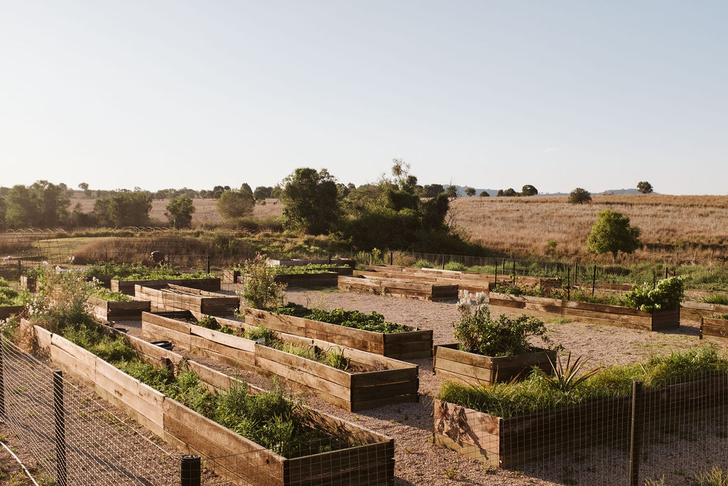 Family swaps suburbia for remote farm life with no regrets - The ...