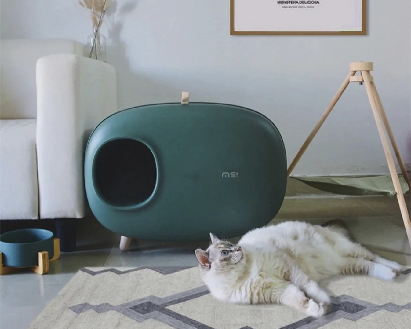 Stylish cat accessories that look good in your home: 10 finds - The ...
