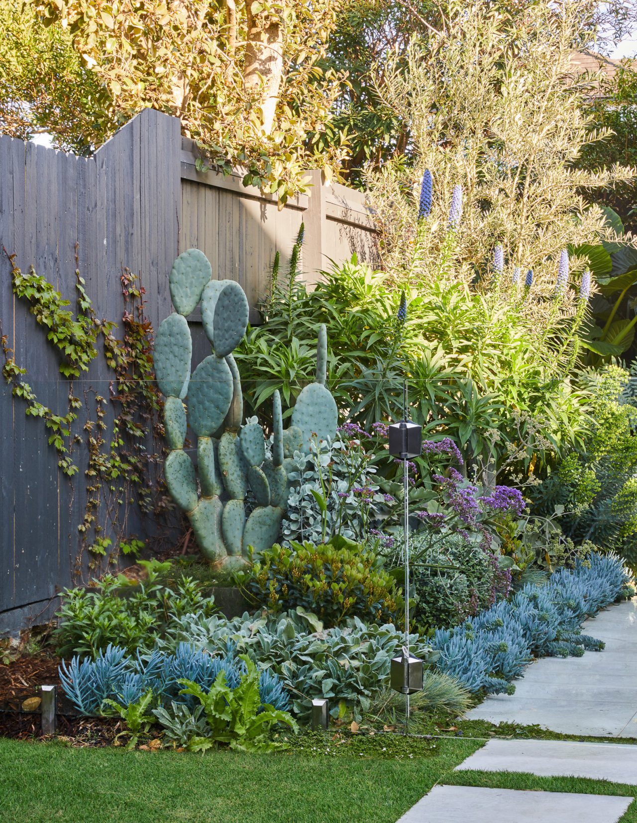 Charlie Albone transforms his own backyard with stunning results - The ...