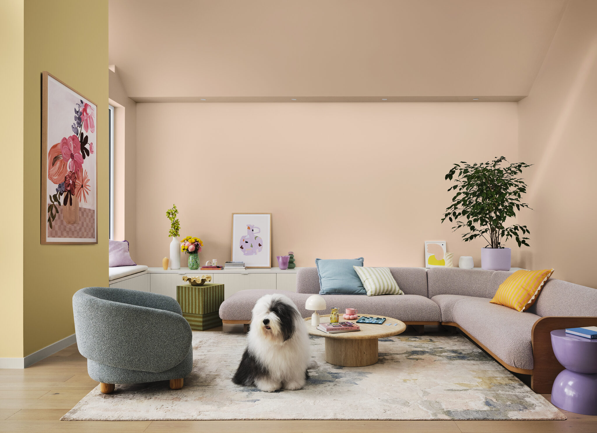 Neutral home given sunny new look with uplifting paint colours - The ...