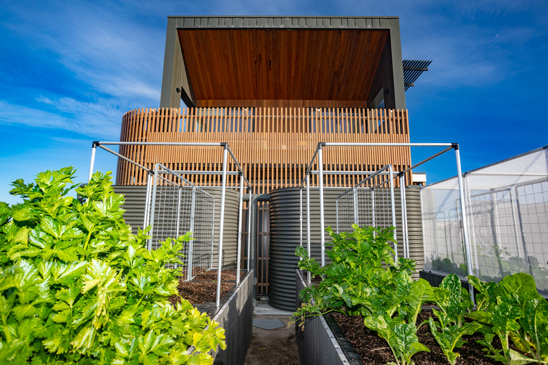 New 8.2-star green home is a happy place for every reason! - The ...